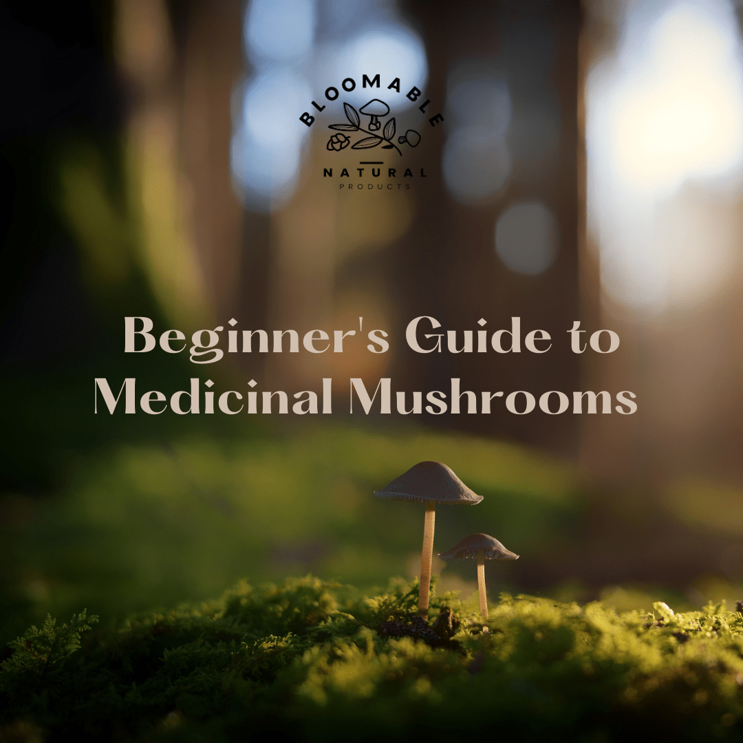 A Beginner's Guide to Medicinal Mushrooms – Bloomable Mushrooms
