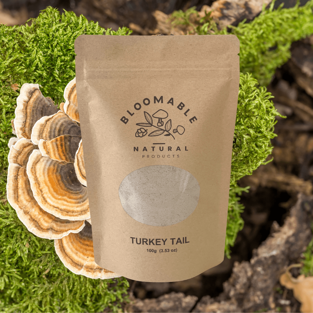 Introducing Our Newest Product: Turkey Tail Mushroom Powder – Bloomable ...