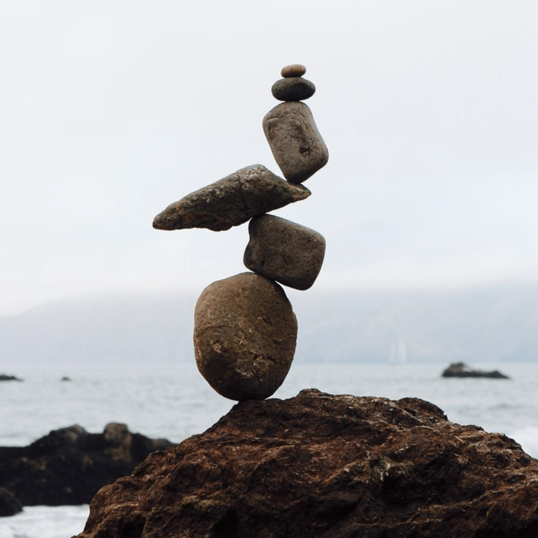 Medicinal Mushrooms For Hormone Balance – Bloomable Mushrooms