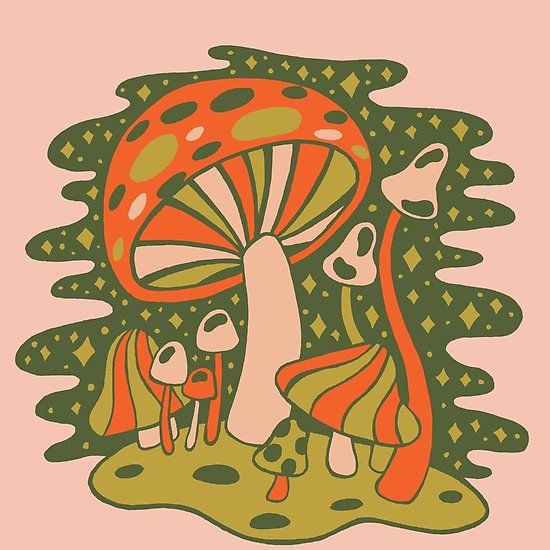 Medicinal Mushrooms vs. Psychedelic Mushrooms: What's the Difference ...