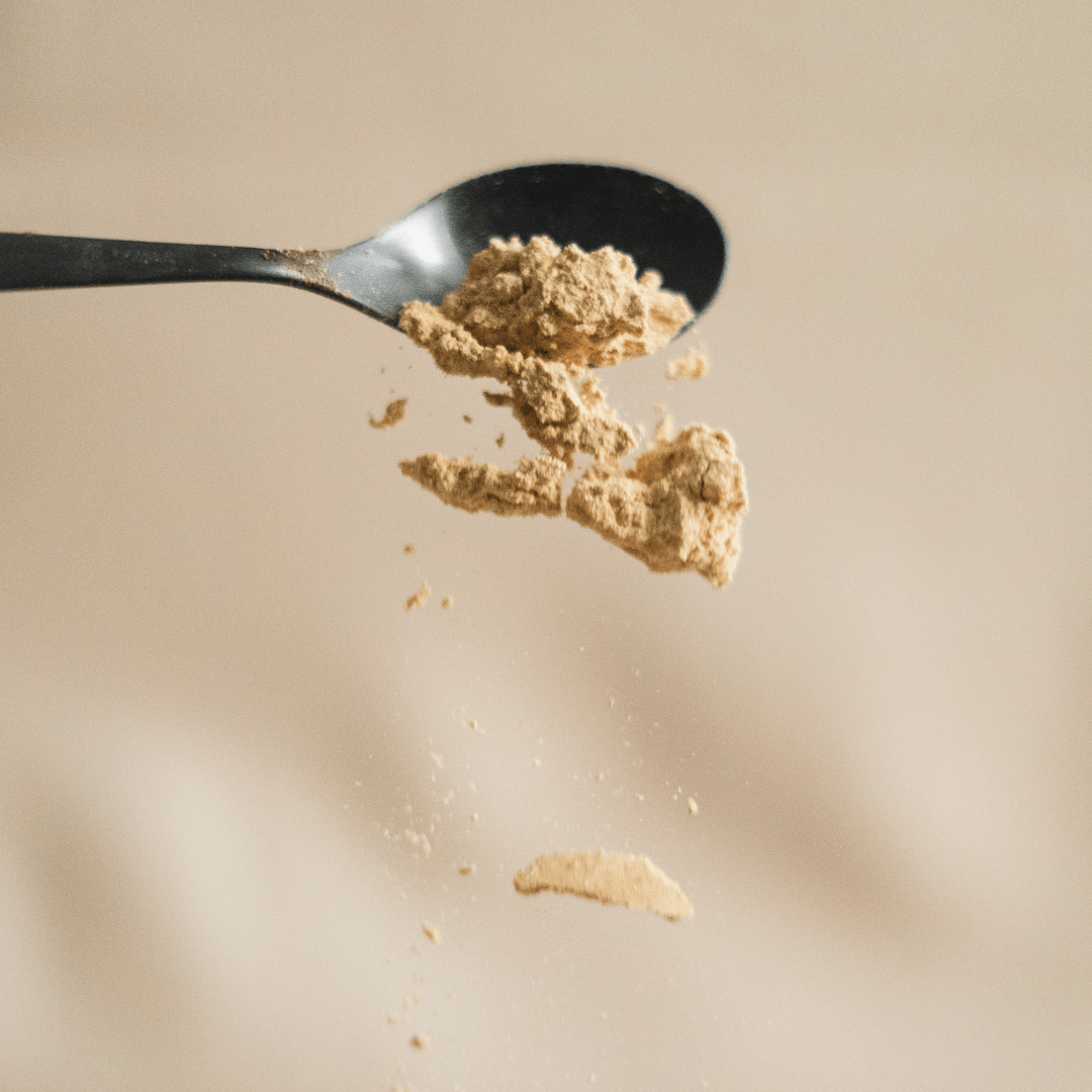 Mushroom Powders vs Extracts: What's the difference? – Bloomable Mushrooms