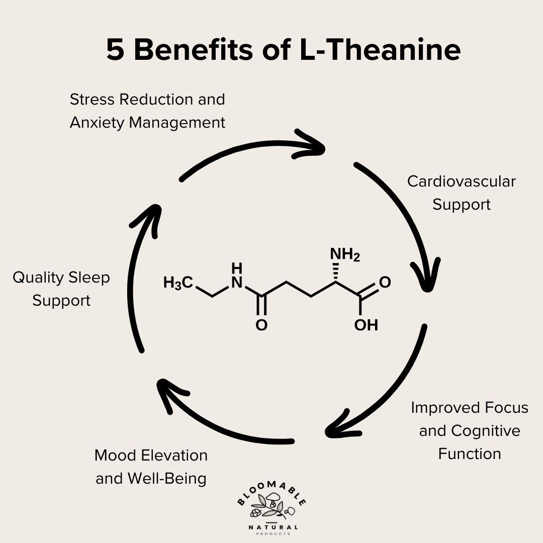 What are the benefits of L-Theanine? – Bloomable Mushrooms