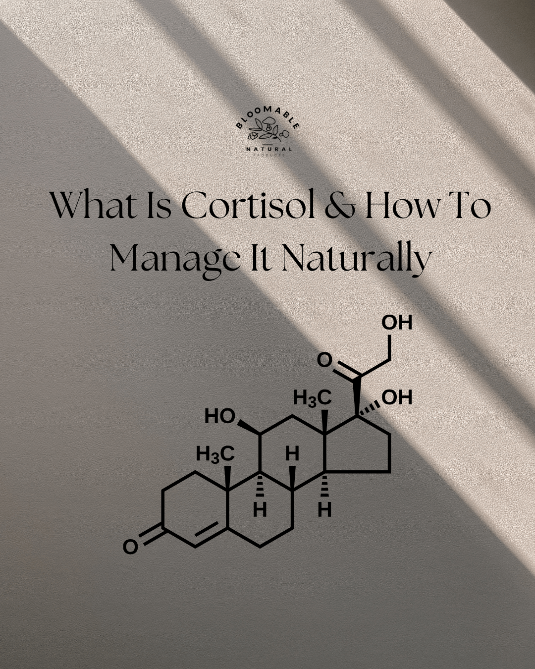 What Is Cortisol & How To Manage It Naturally – Bloomable Mushrooms