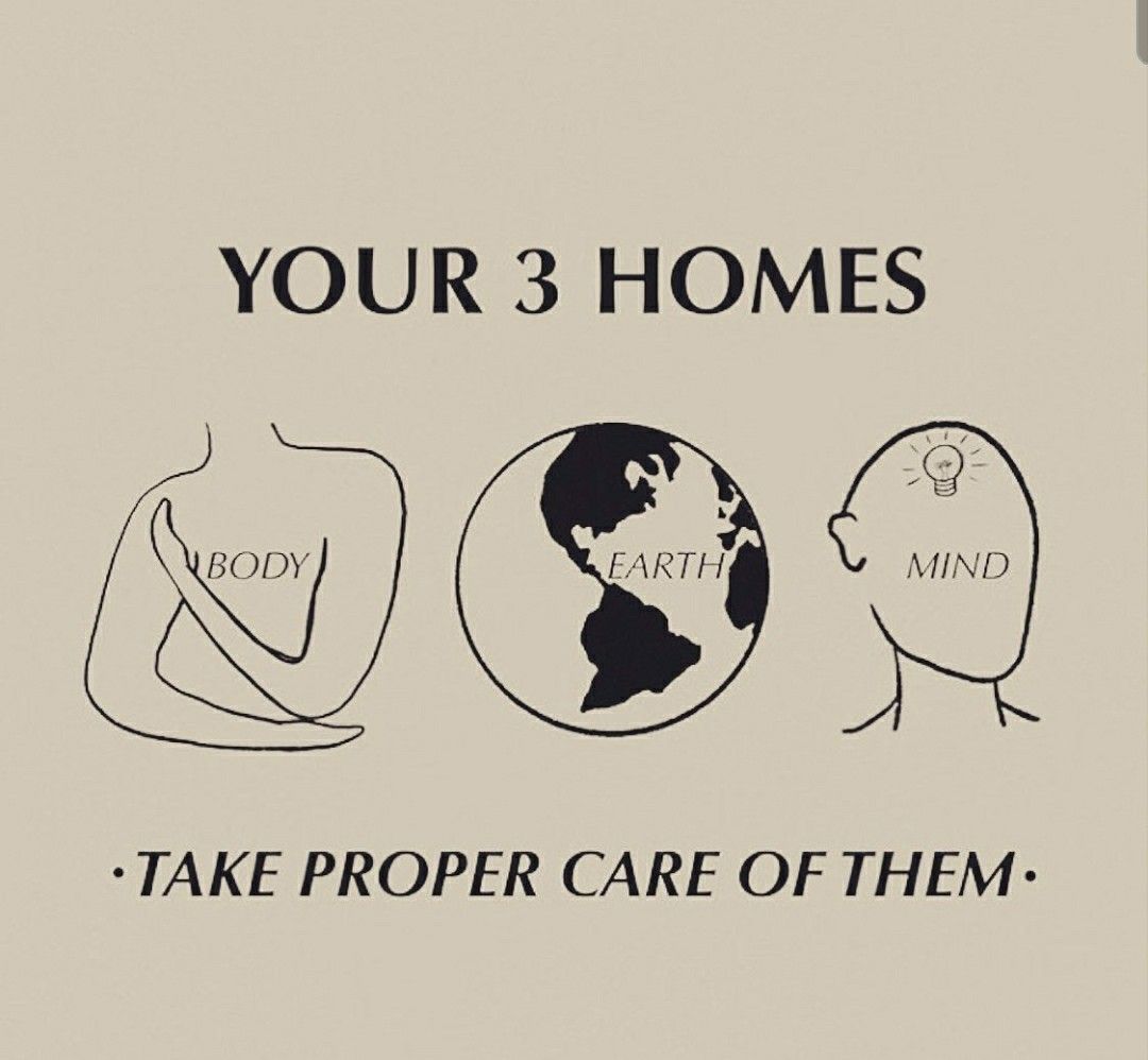 Which Medicinal Mushrooms Are Best for Anxiety and Depression ...