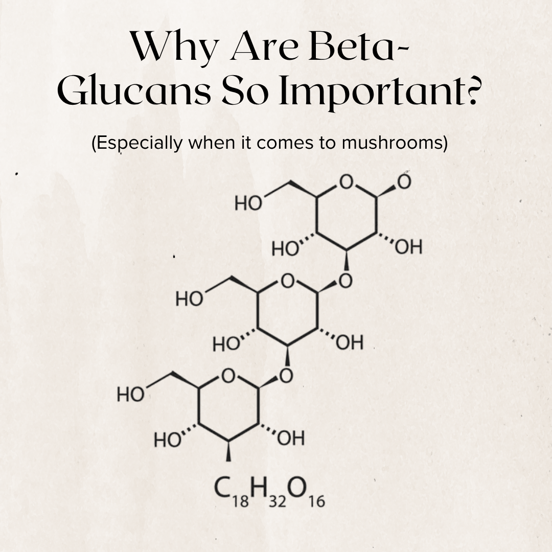 Why Beta-Glucans Matter: The Secret Behind Medicinal Mushrooms Like Li ...