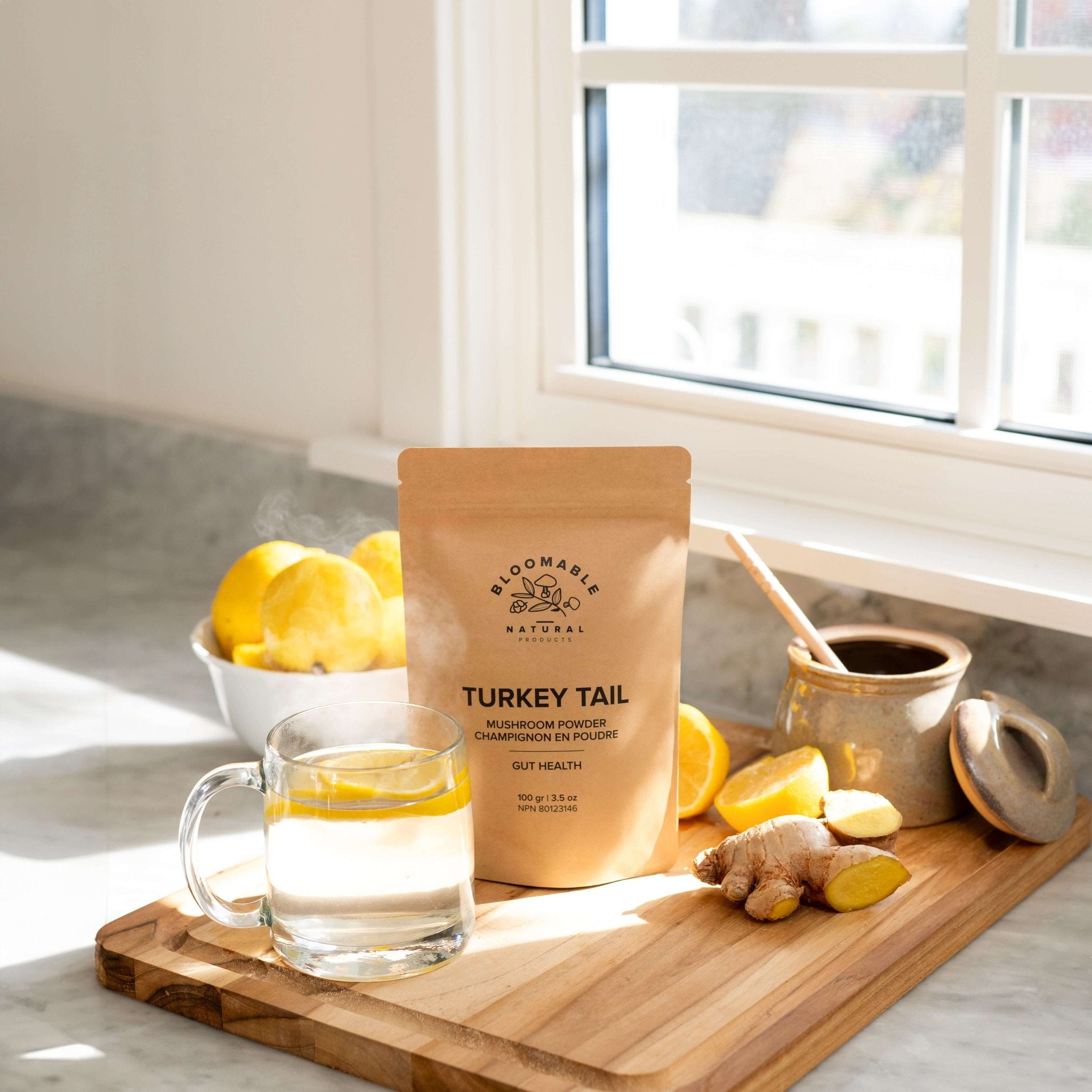 Gut Health + Immunity – Bloomable Mushrooms