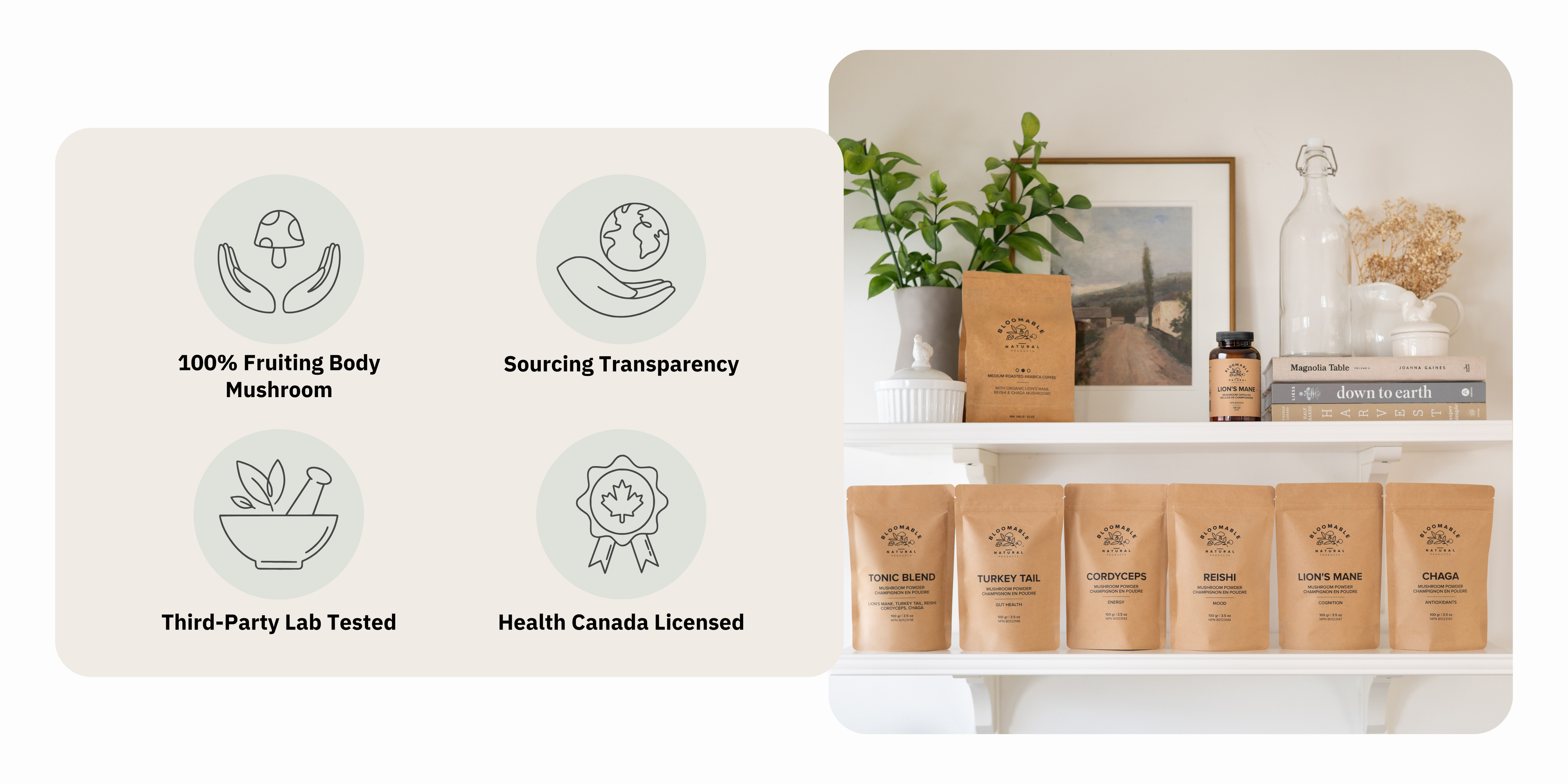 About Bloomable – Bloomable Mushrooms