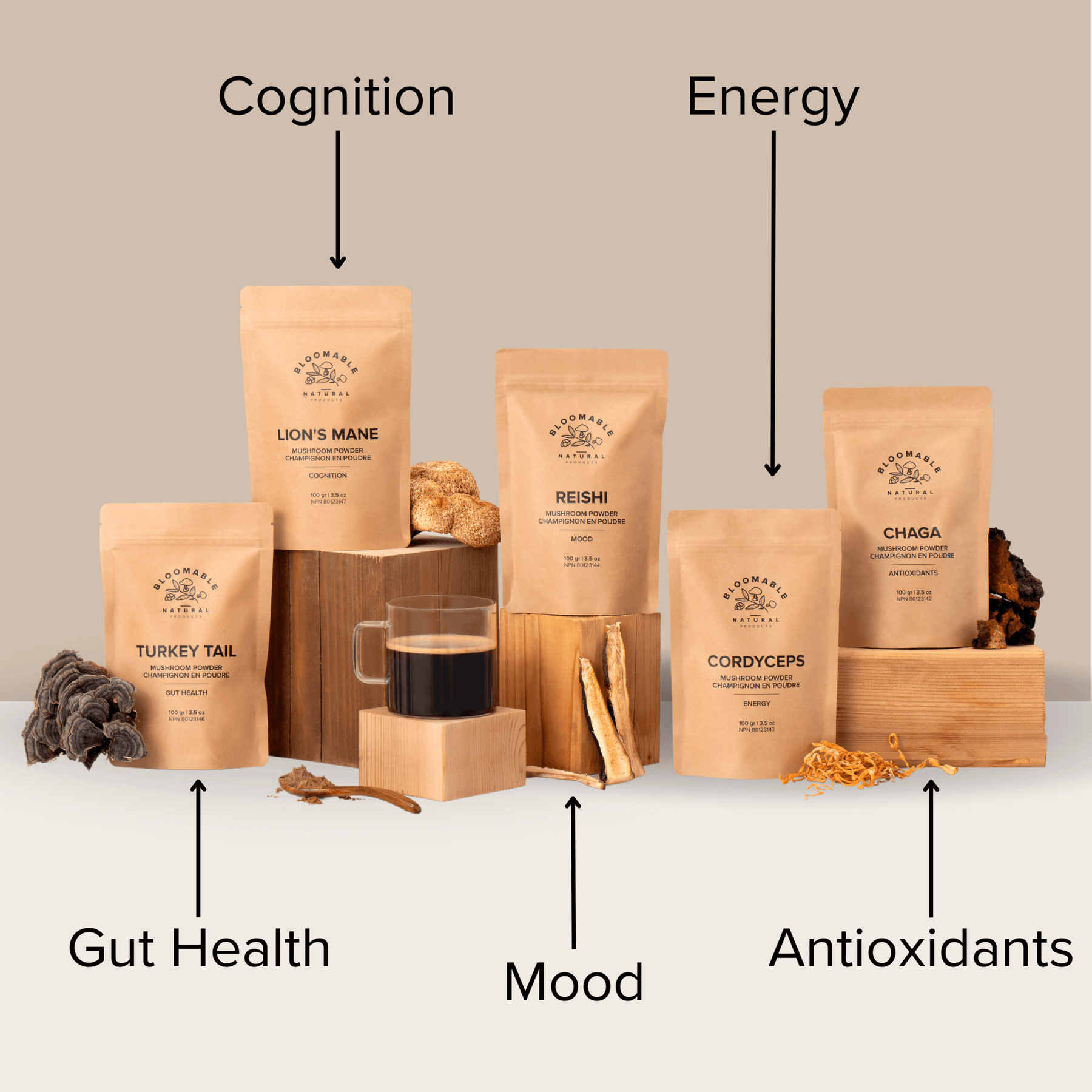 Buy Bloomable Mushroom Bundle - Lion's Mane, Turkey Tail, Reishi, Chaga ...