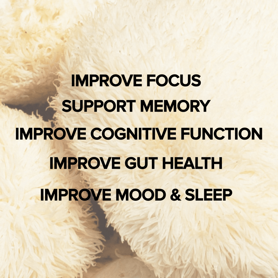 Buy Lion's Mane Mushroom Capsules Online – 120 Capsules | Organic, 100% ...